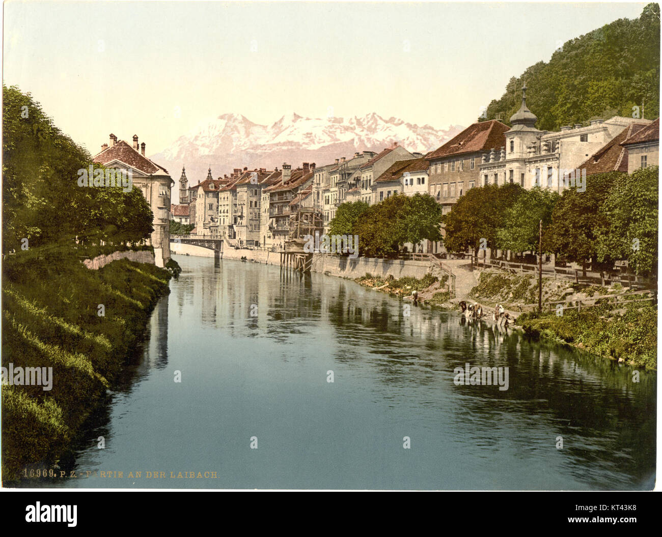 An image of Ljubljana, Slovenia, in the 1890s, showcasing the ...