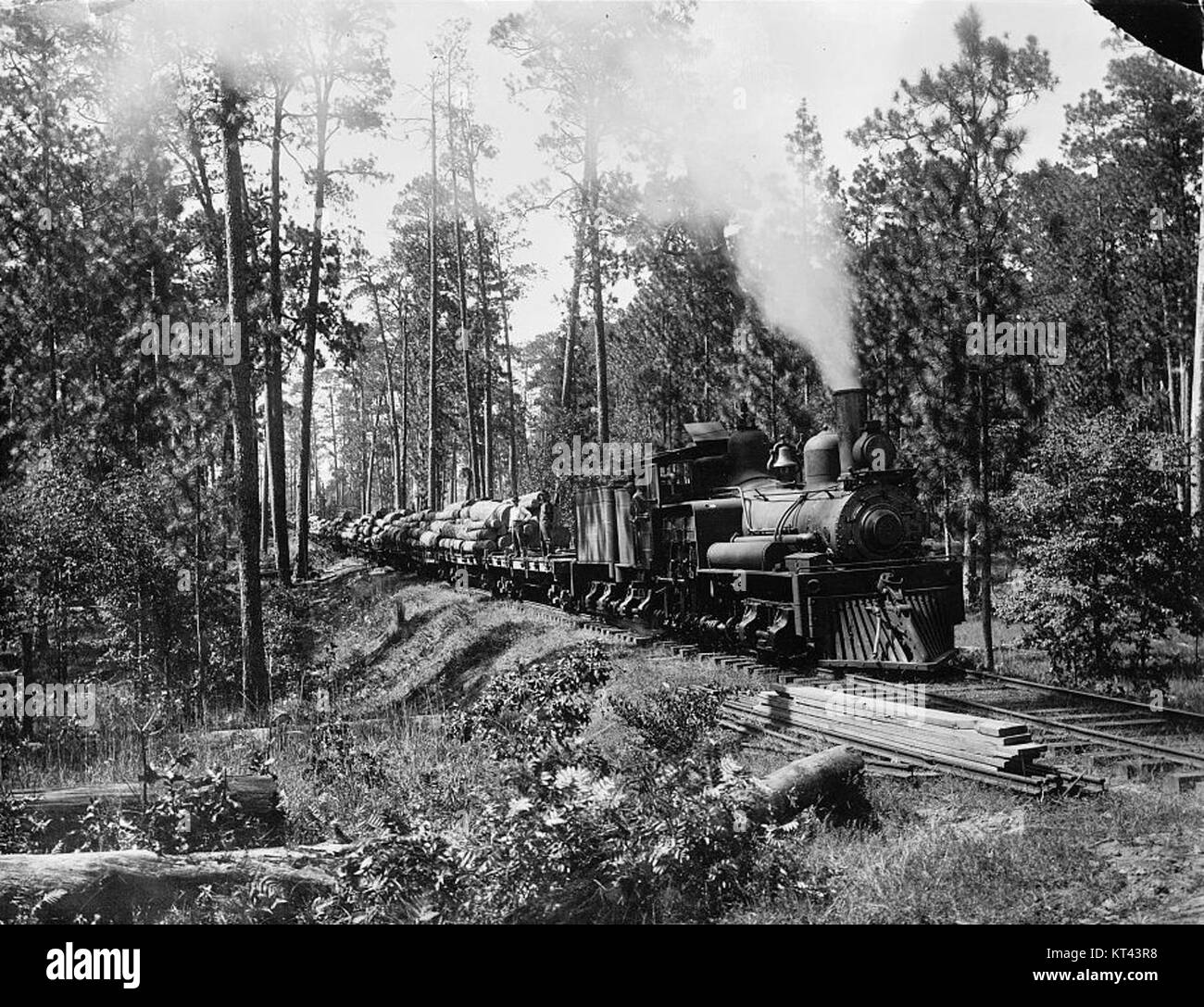 Log train hi-res stock photography and images - Alamy