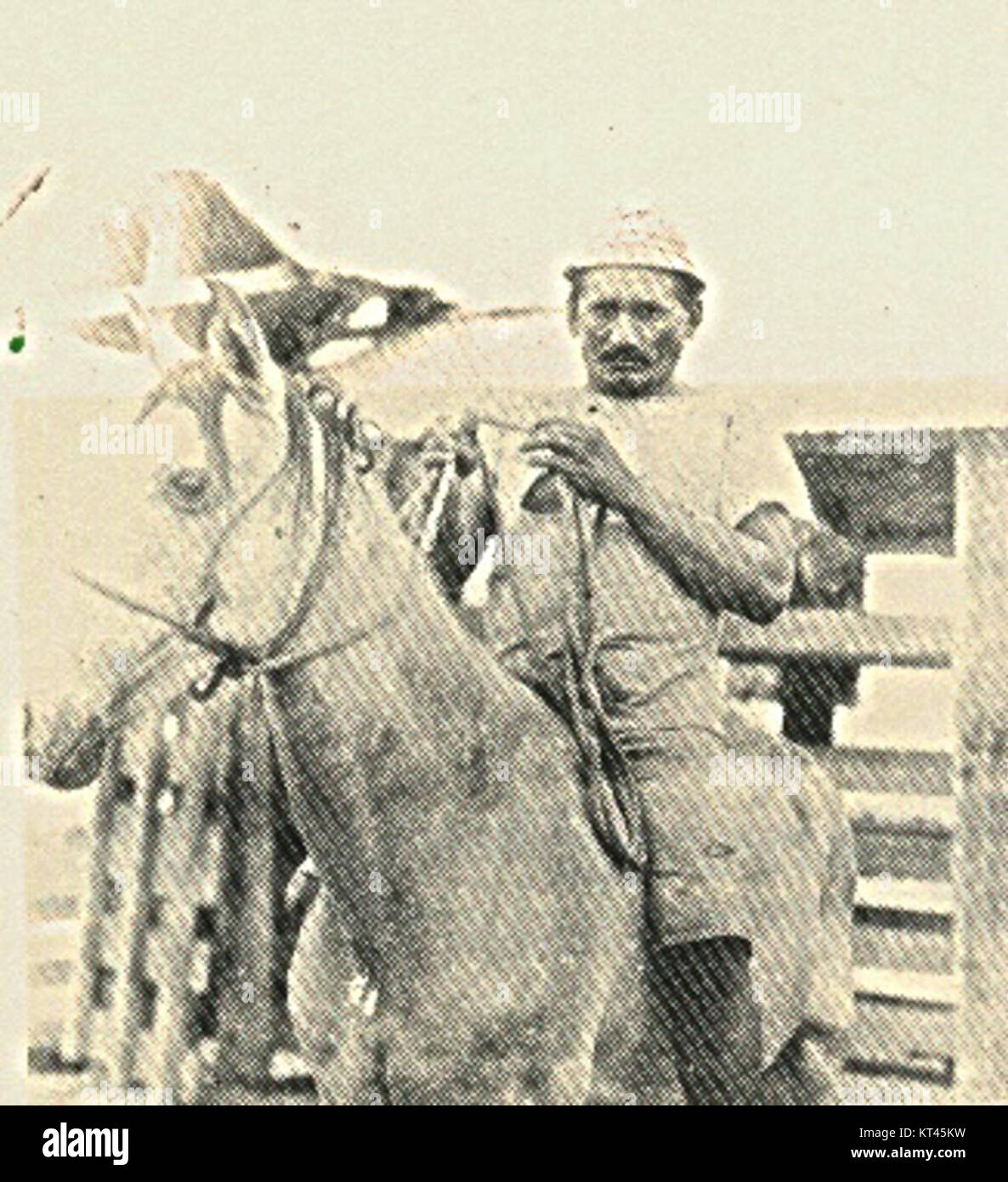 Maria Nieves is a name associated with cultural or historical ...