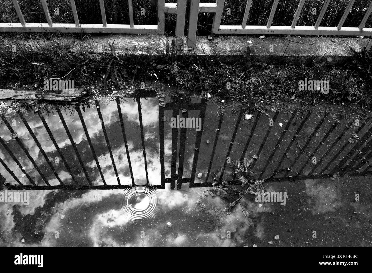 rain water and fence Stock Photo - Alamy