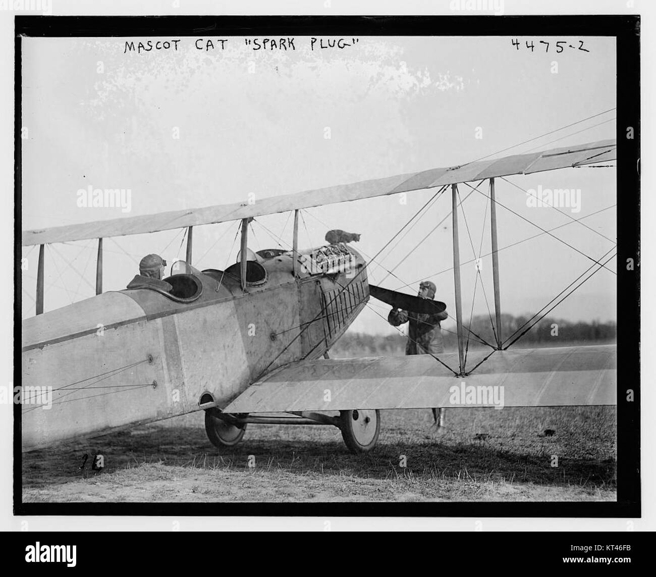 Mascot cat Spark Plug (on plane) (24979213765 Stock Photo - Alamy