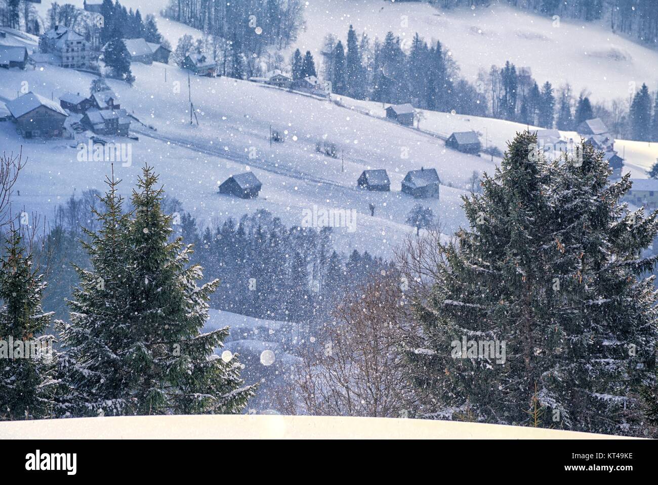 Let It Snow High Resolution Stock Photography and Images - Alamy