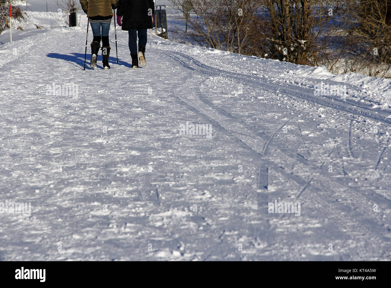 two women go for a walk in winter. a walk in the snow Stock Photo - Alamy