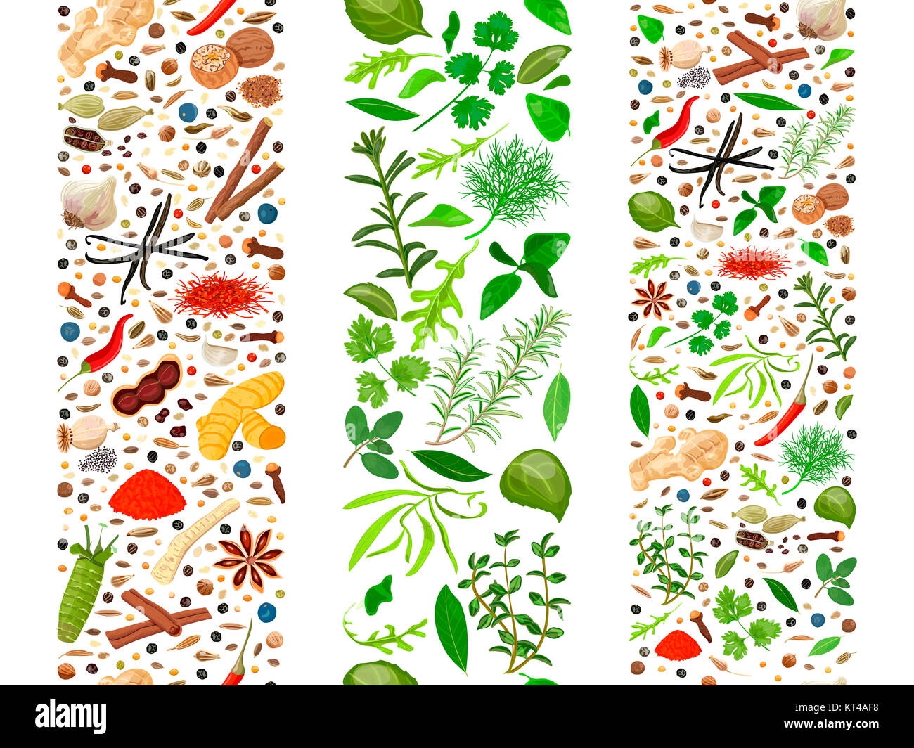Culinary herbs and spices organised in three ribbons Stock Photo - Alamy