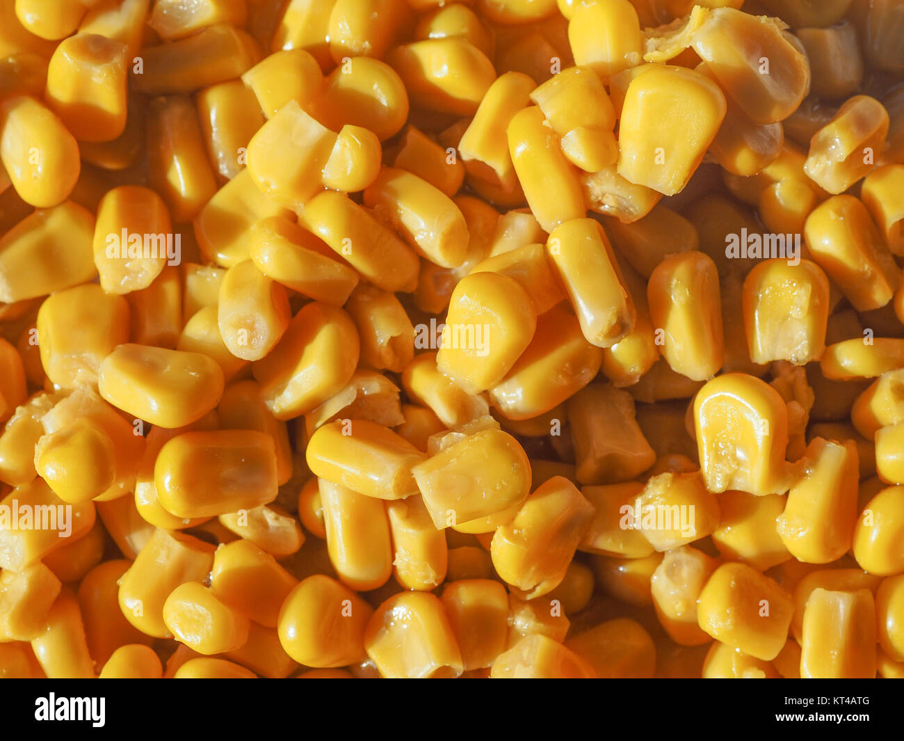 maize corn food Stock Photo - Alamy