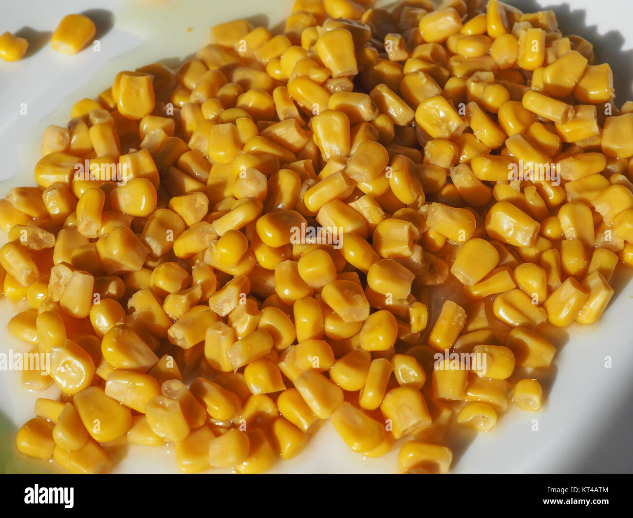 maize corn food Stock Photo - Alamy