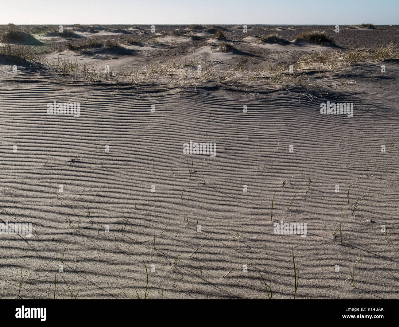 textured beach sand on a dune Stock Photo - Alamy
