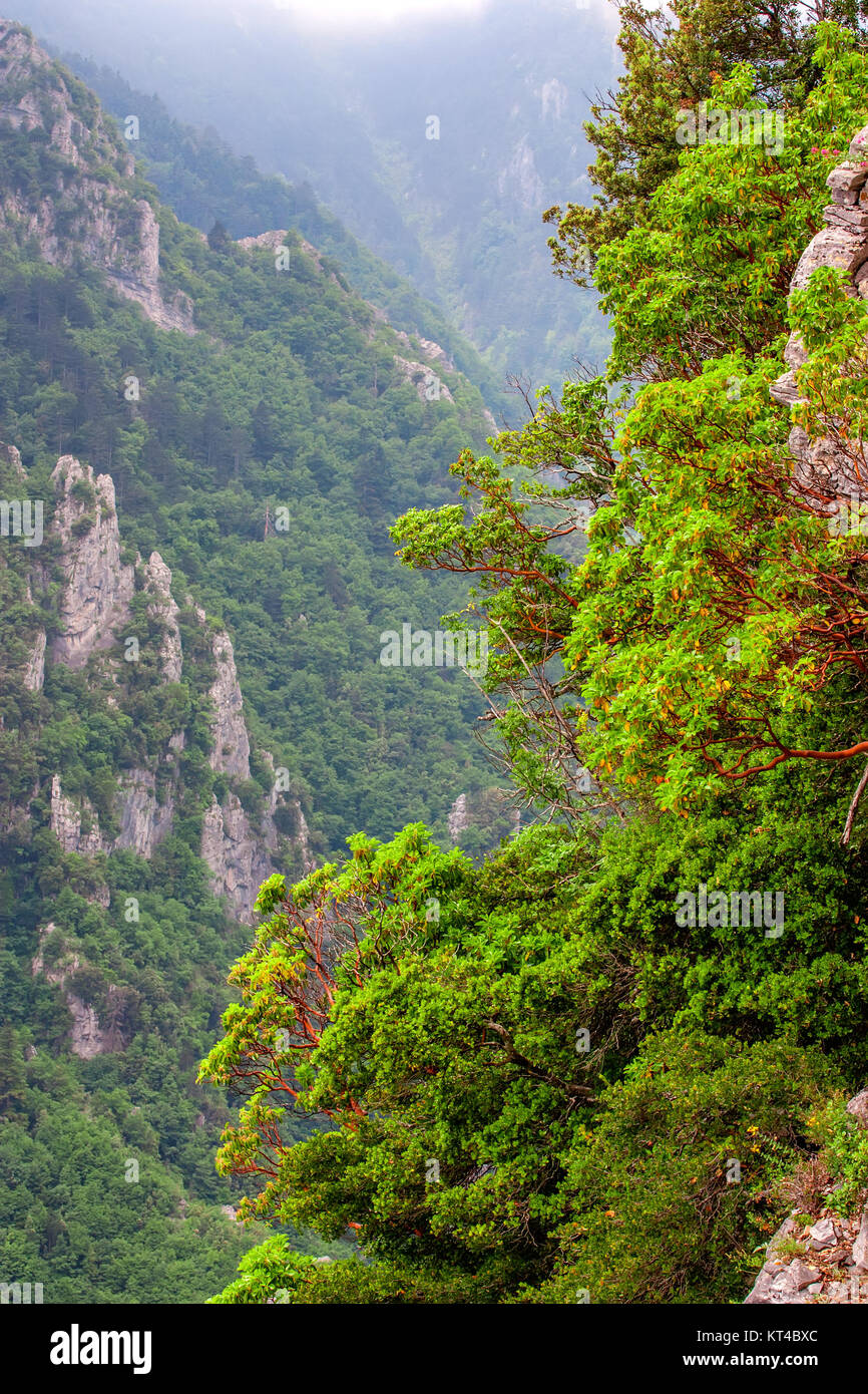 Scenic view from mount Olympus Stock Photo - Alamy