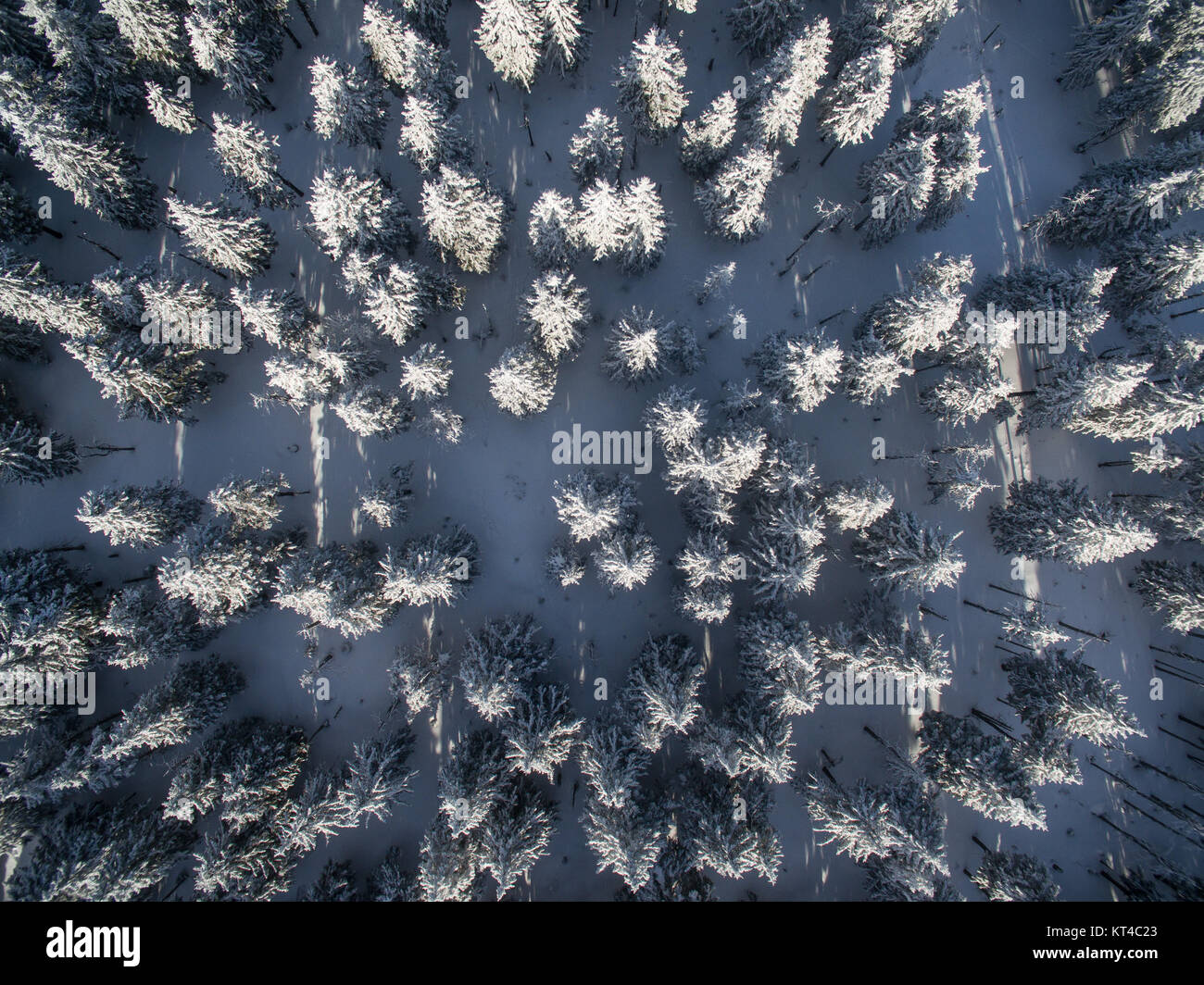 Aerial camera winter landscape trees hi-res stock photography and ...