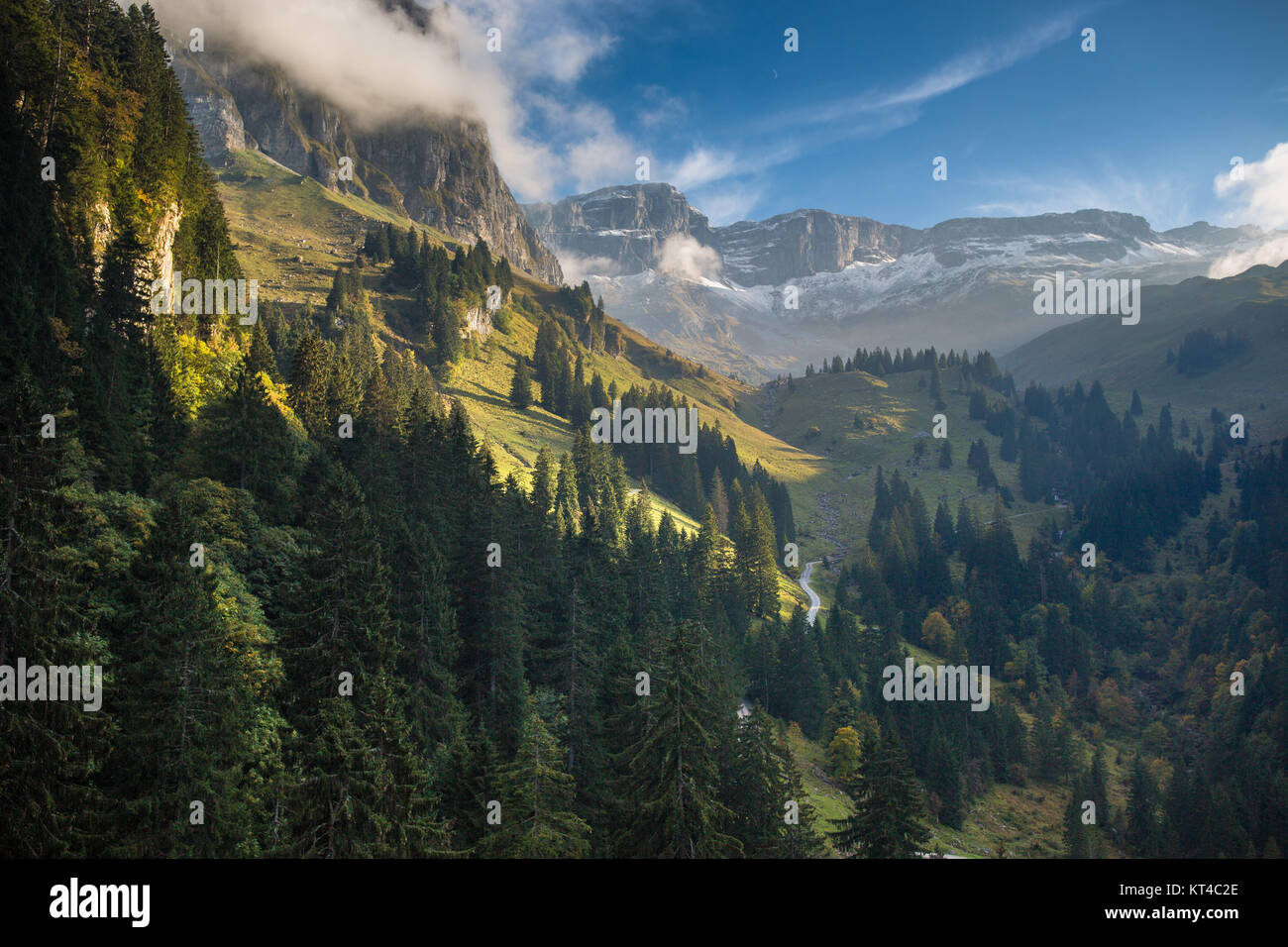 Lovely alpine scenery with beautiful forest, high mountains and deep ...