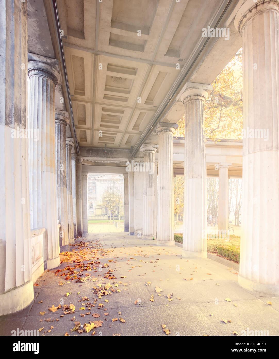 Colonnade Courtyard on a bright day in Fall. The Cortyard is on the ...