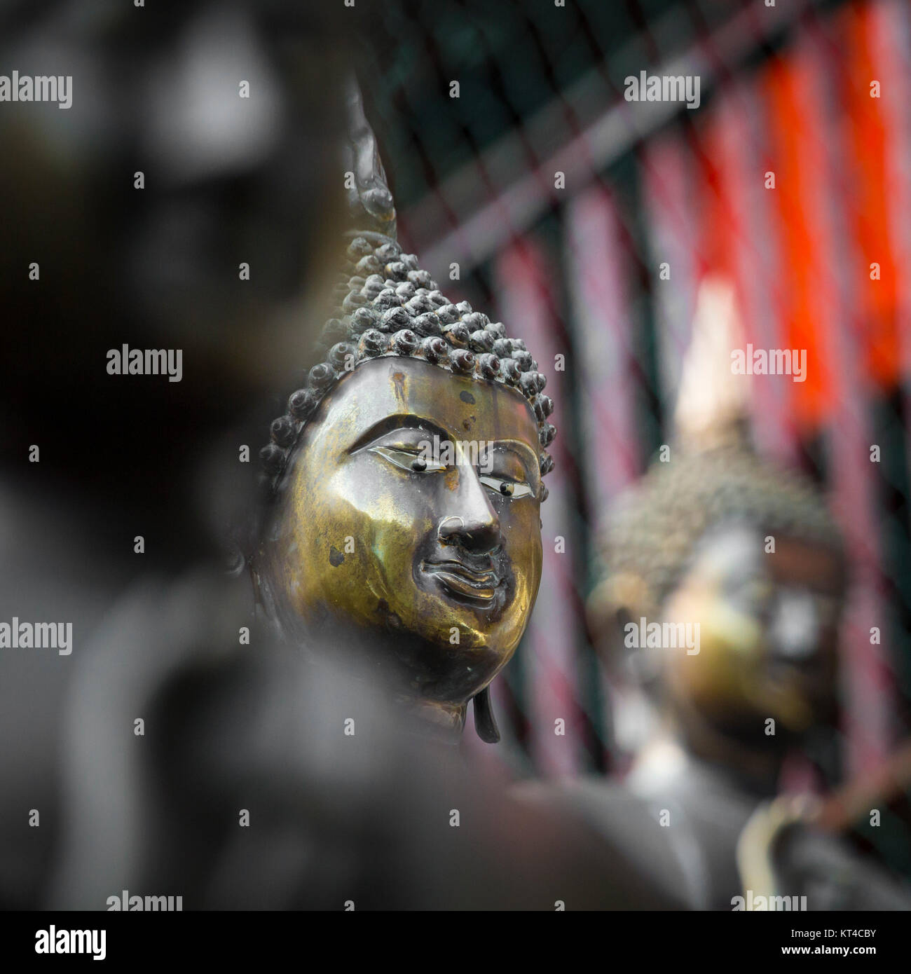 Row of Buddha statues at Ganagarama temple, Colombo, Sri Lanka Stock ...