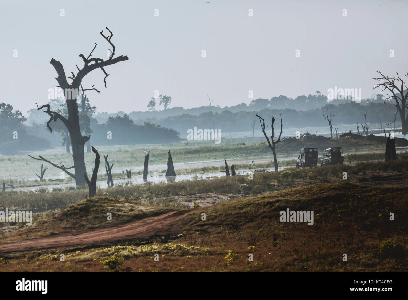 Wild landscape at morning time. Udawalawe National Park in Sri Lanka ...