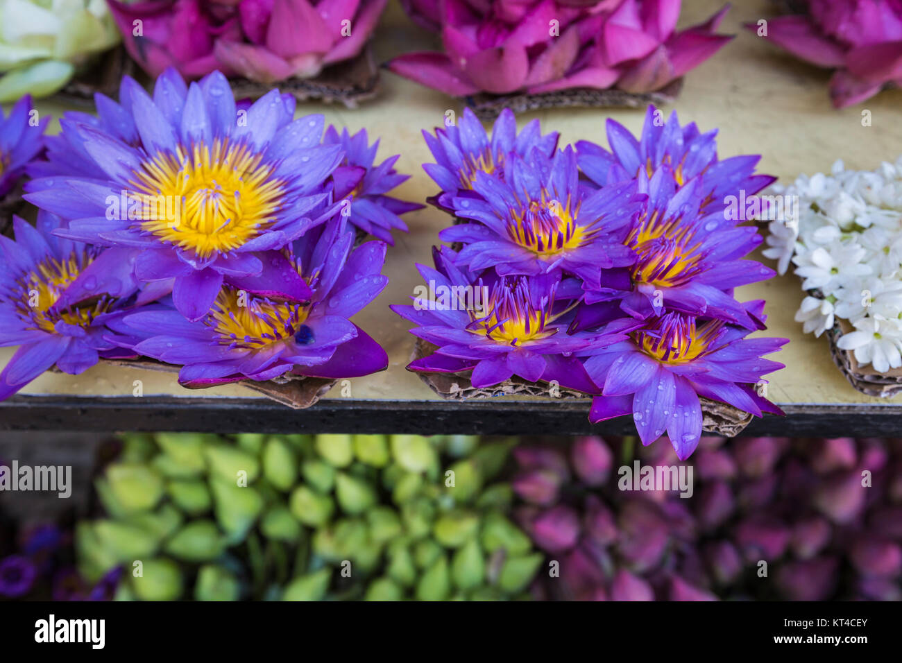 Buddhist ritual fresh flower hi-res stock photography and images - Alamy