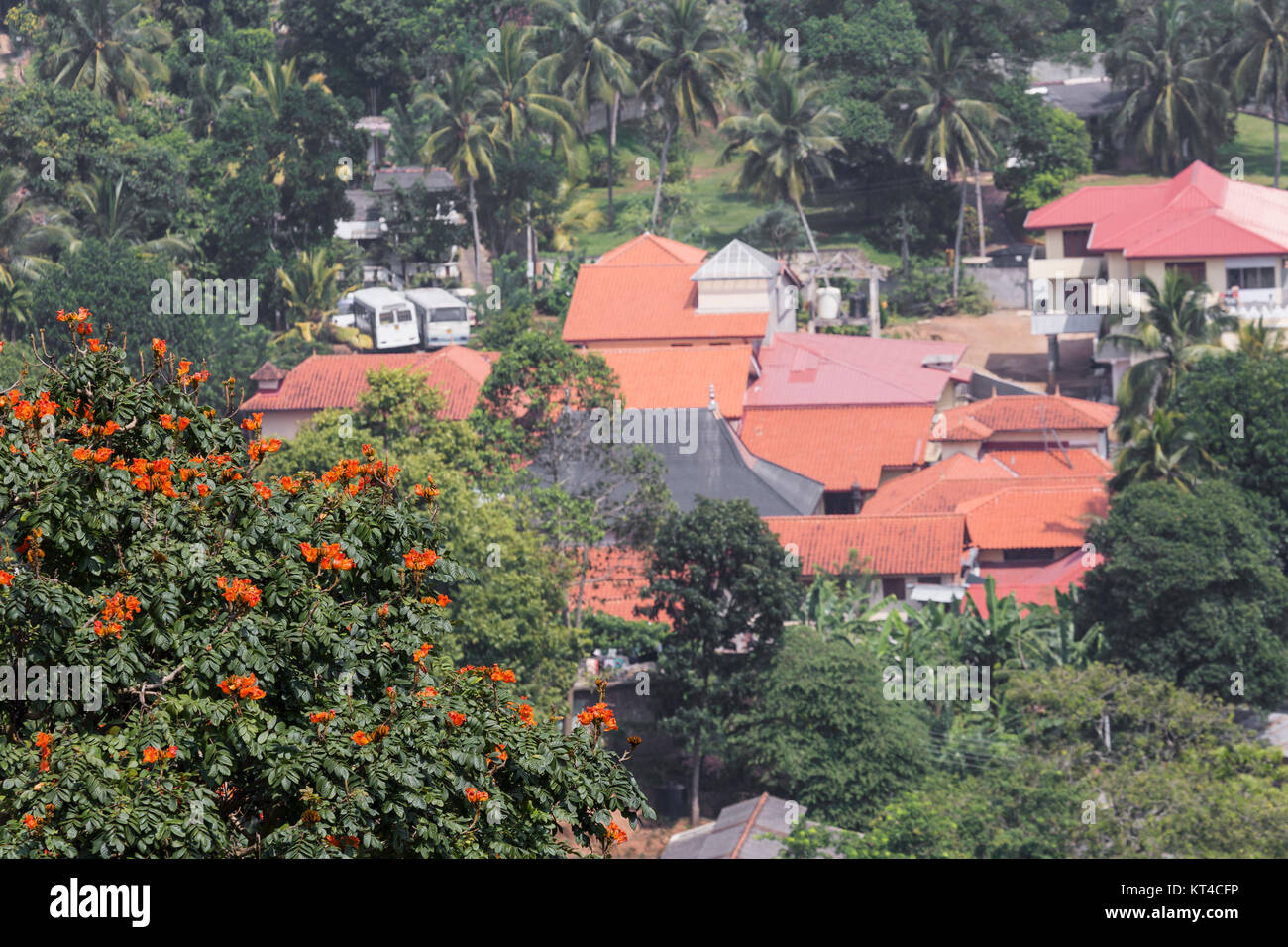 City landscape in the early morning, Kandy, Sri Lanka Stock Photo - Alamy