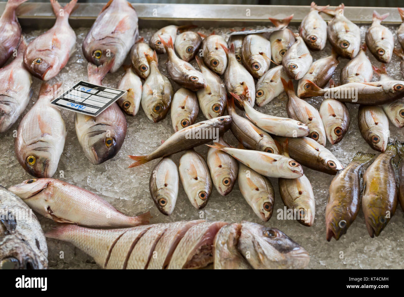 Fish market in Funchal, Madeira Stock Photo - Alamy