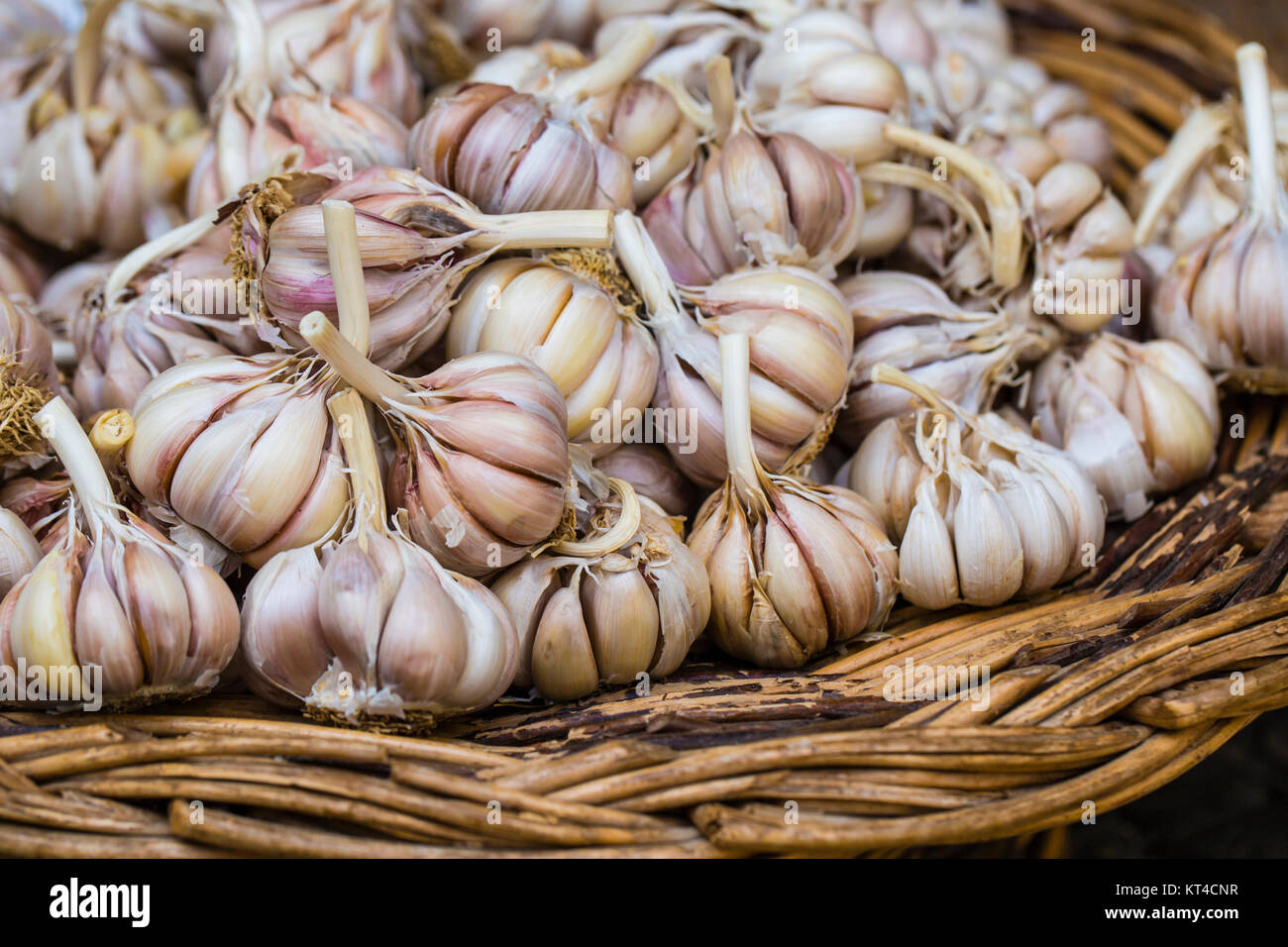 Flea market gardening hi-res stock photography and images - Alamy