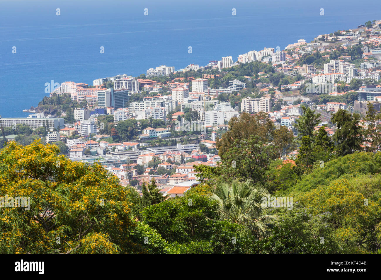 Madeira town houses of Funchal - capital of Madeira, Portugal Stock ...