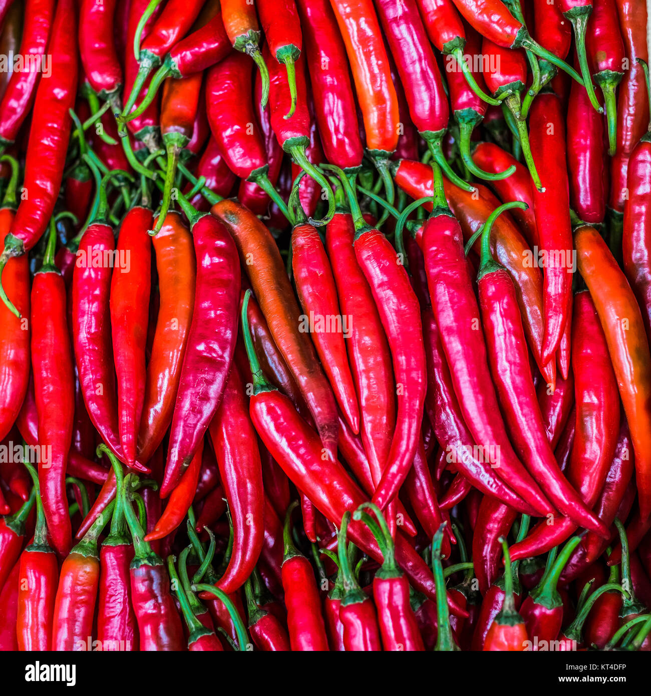 Red chili peppers, closeup view Stock Photo - Alamy
