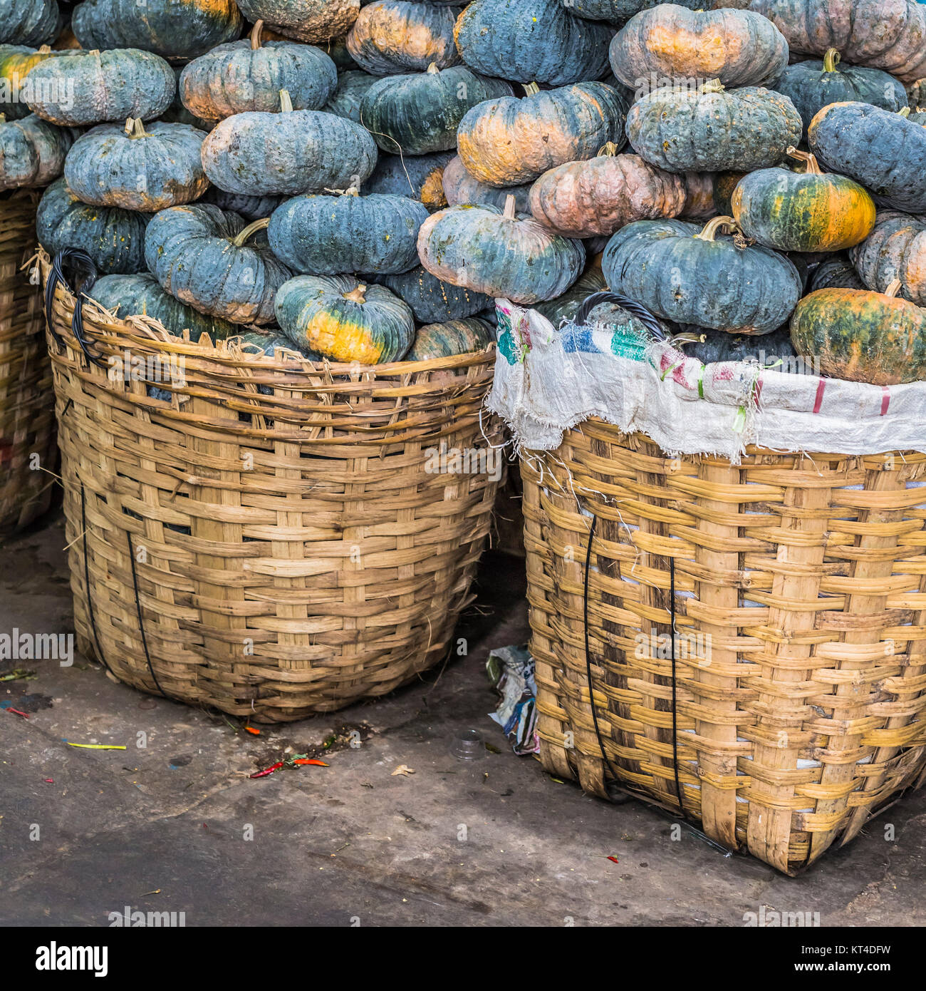 Squash fruits, Cucurbita sp., Family Cucurbitaceae, Central of Thailand ...