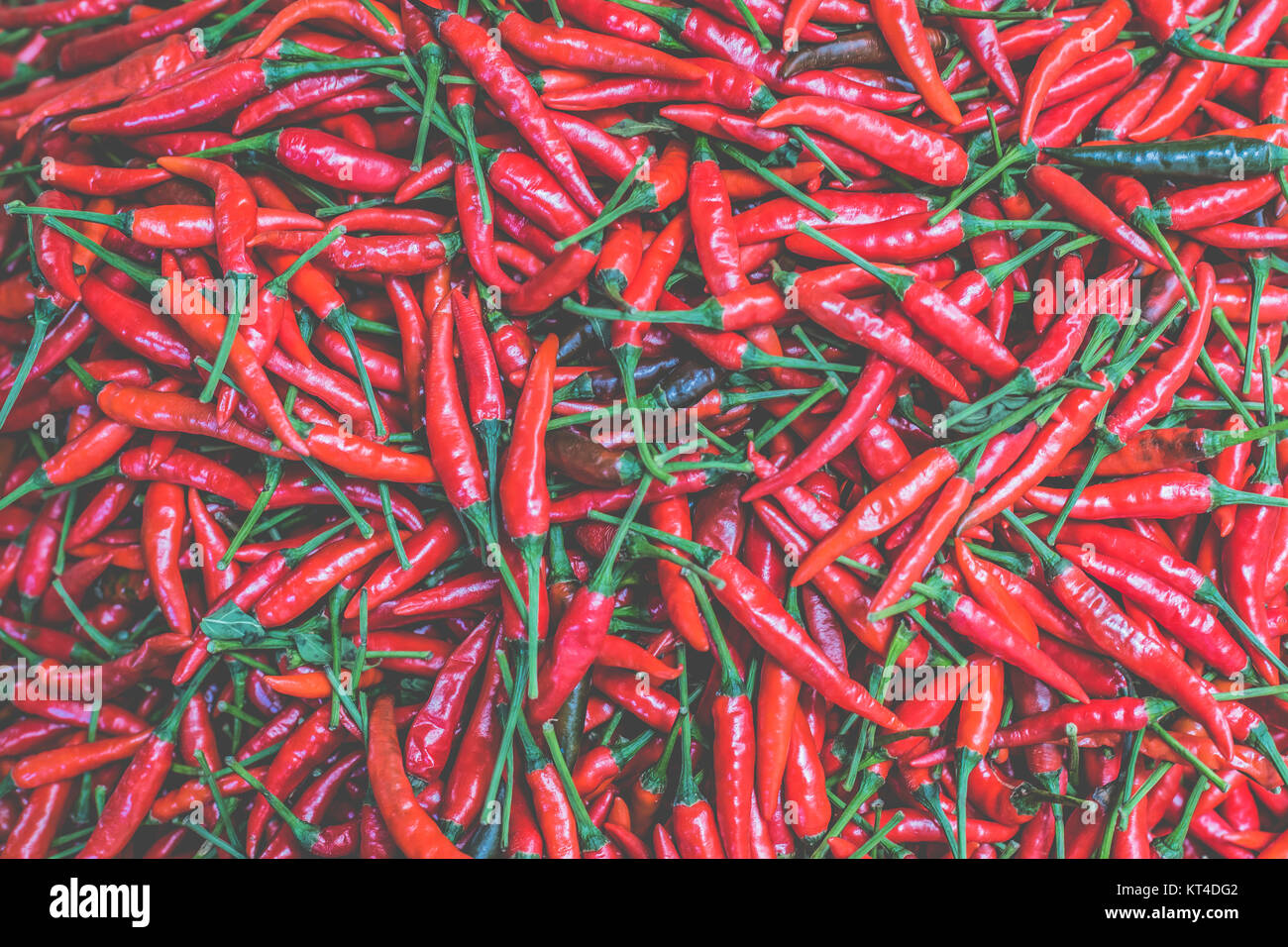 Red chili peppers, closeup view Stock Photo - Alamy