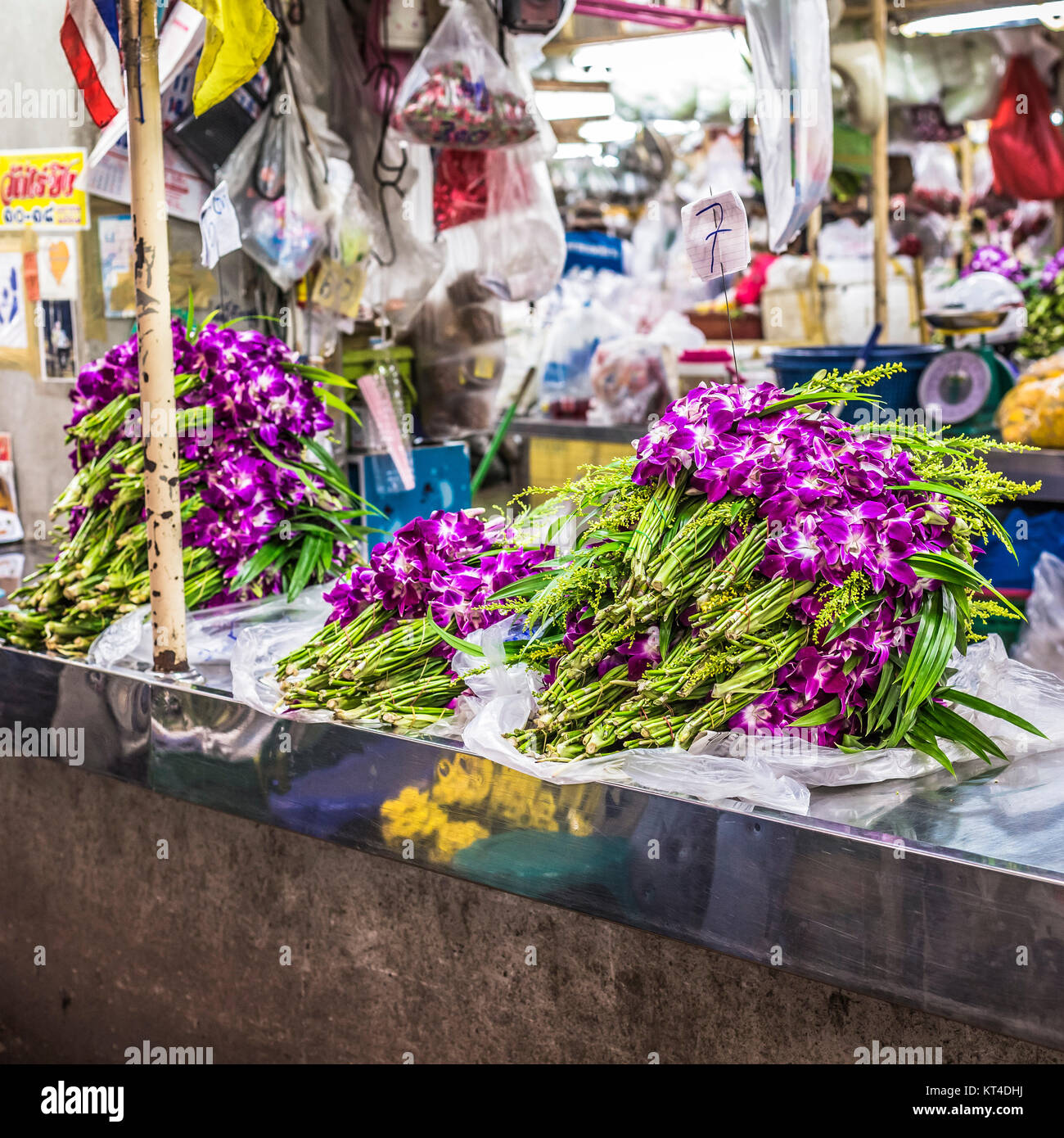 asian violet orchids sells in local market,thailand Stock Photo - Alamy