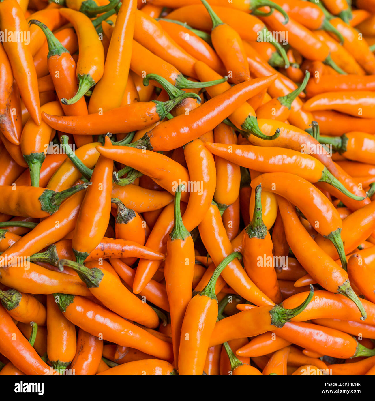 Orange chili peppers, closeup view Stock Photo - Alamy