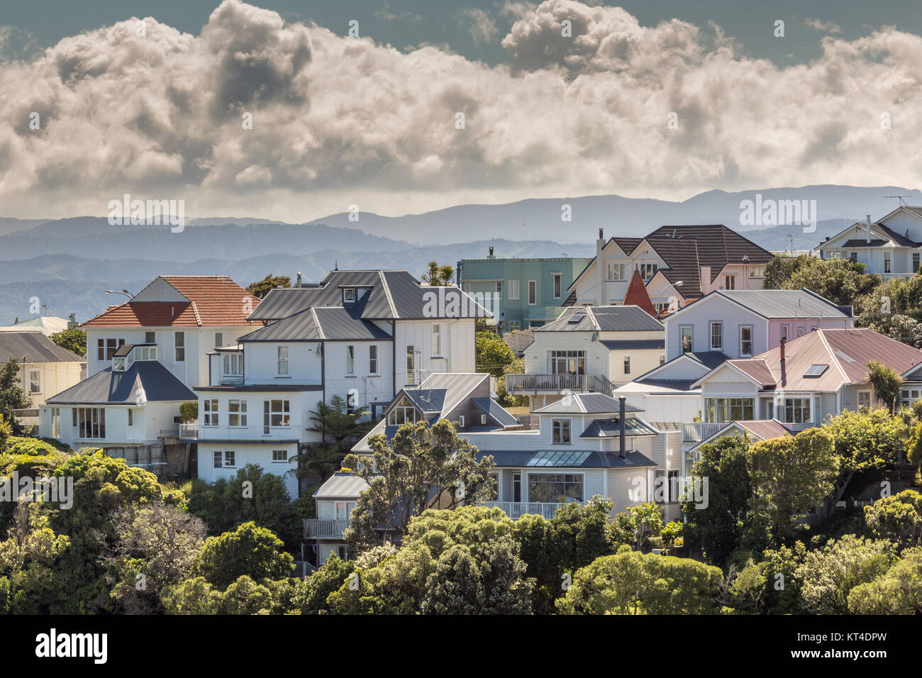 Wellington Landscape High Resolution Stock Photography and Images - Alamy