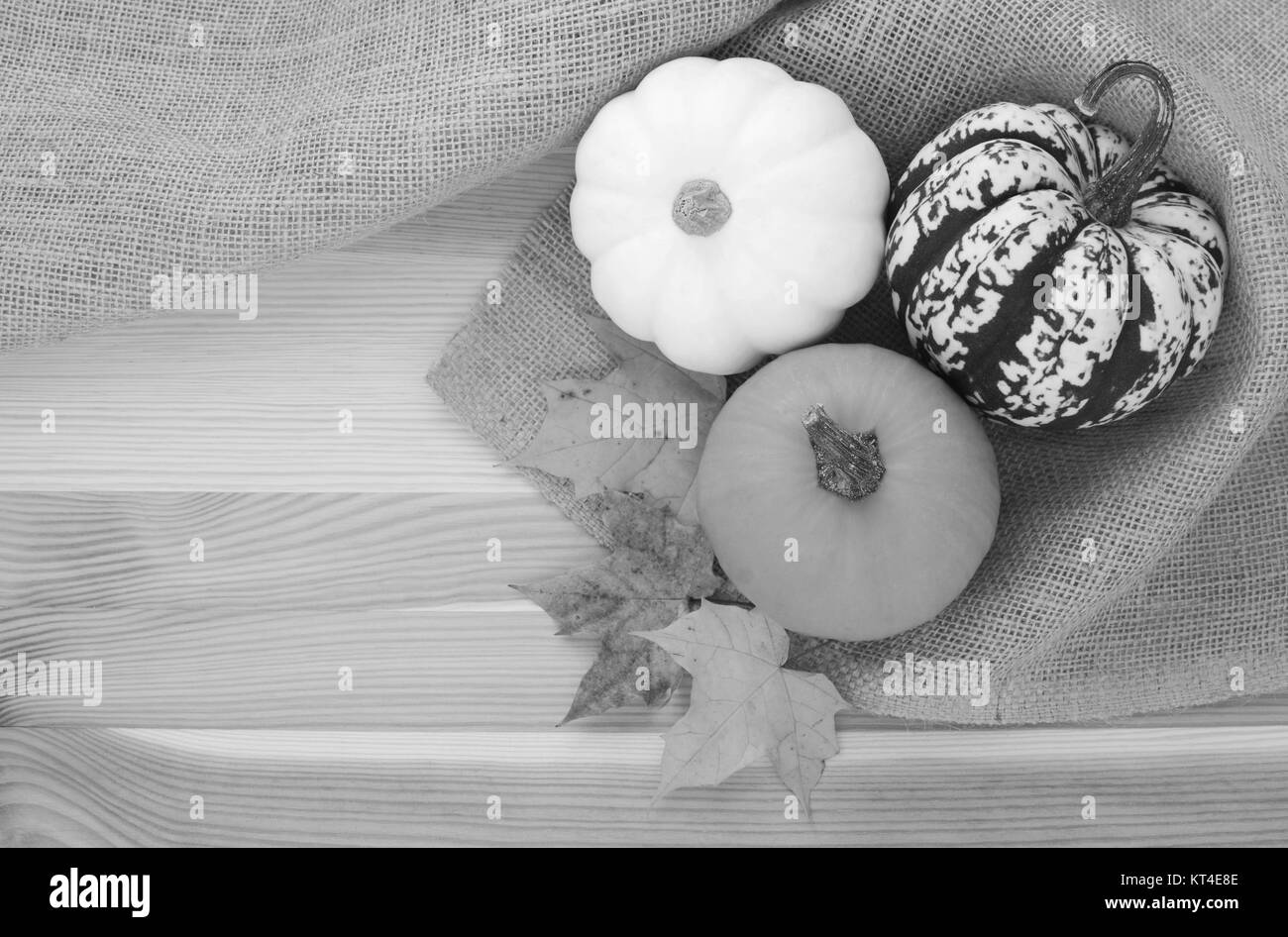 Autumn leaf foliage wooden Black and White Stock Photos & Images - Alamy