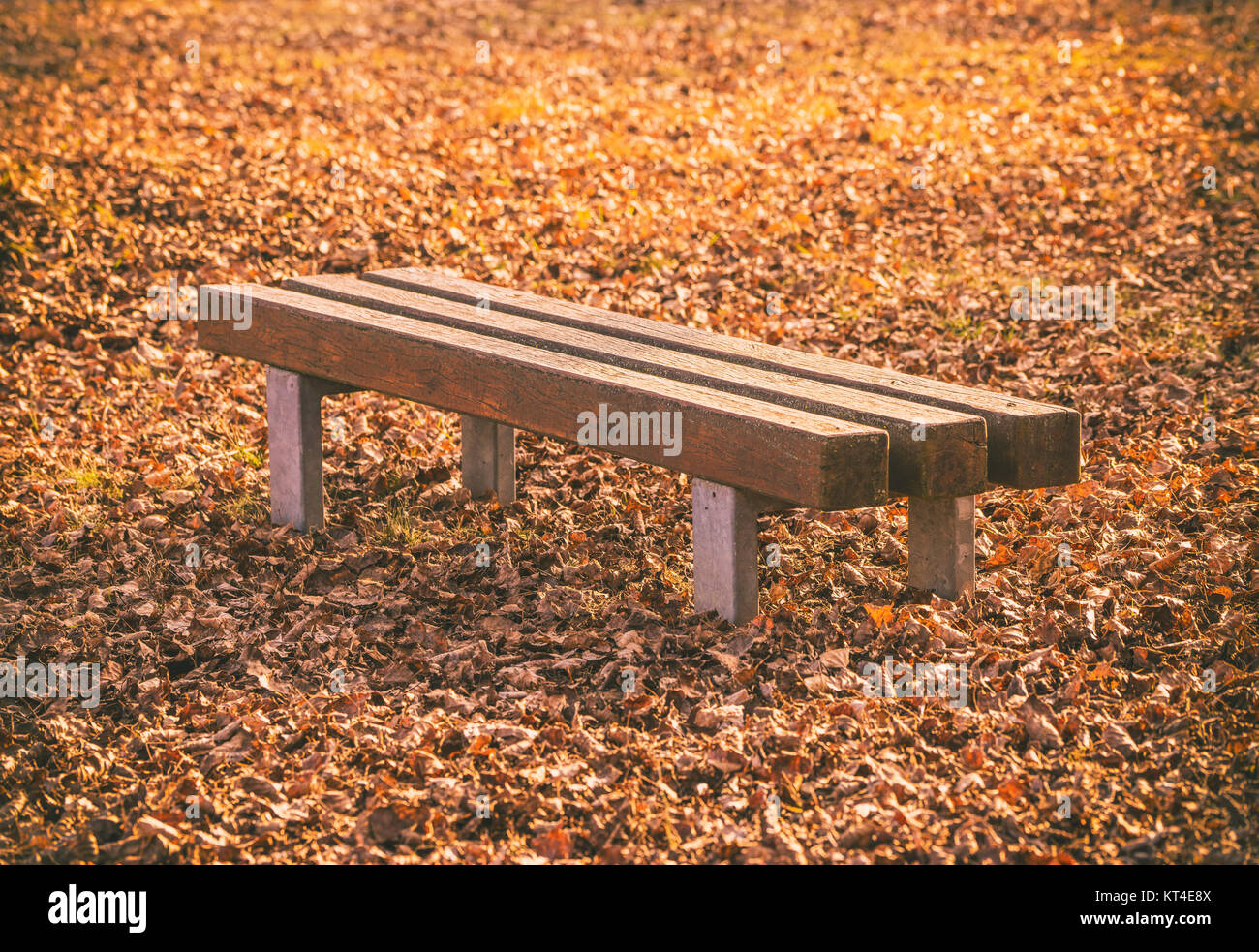 Lonely bench in autumn Stock Photo - Alamy