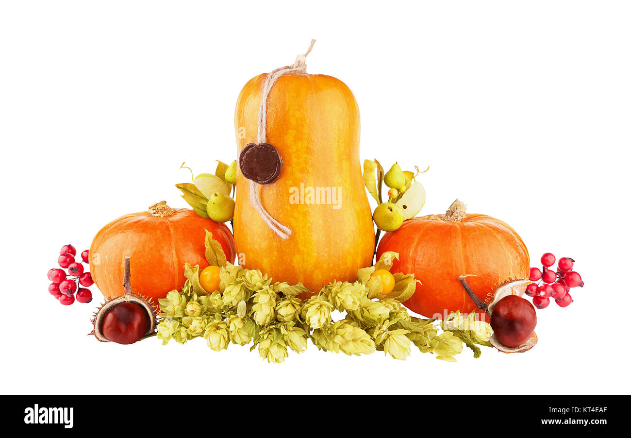 Physalis leaves isolated on Cut Out Stock Images & Pictures - Alamy