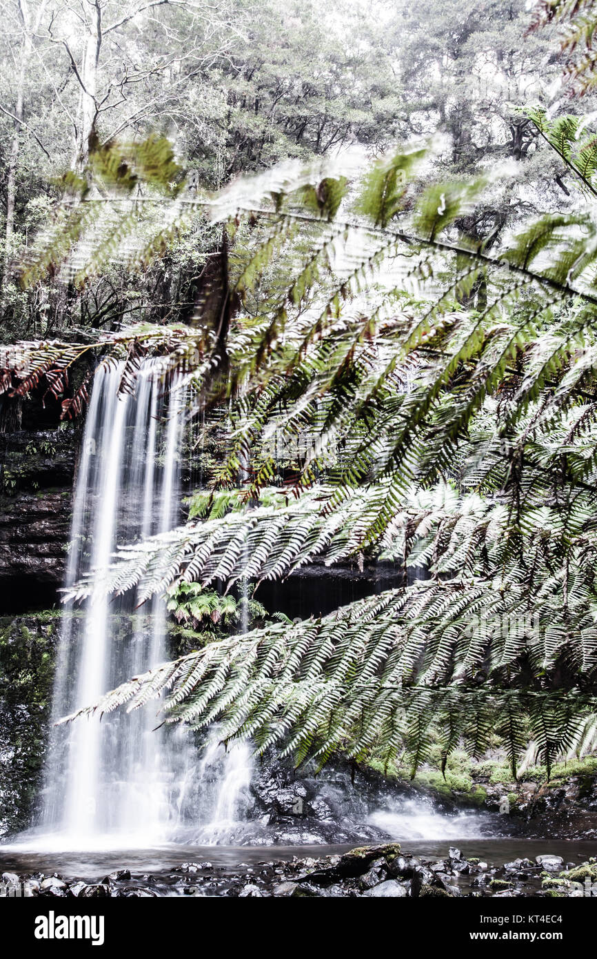 Russell Falls, Tasmania Stock Photo - Alamy