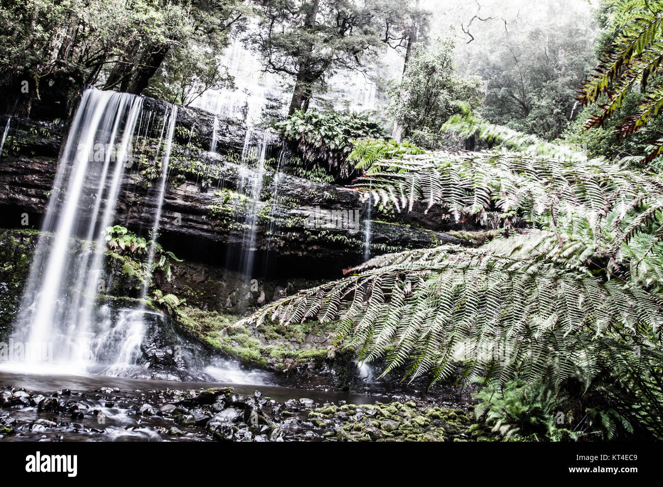 Russell Falls, Tasmania Stock Photo - Alamy