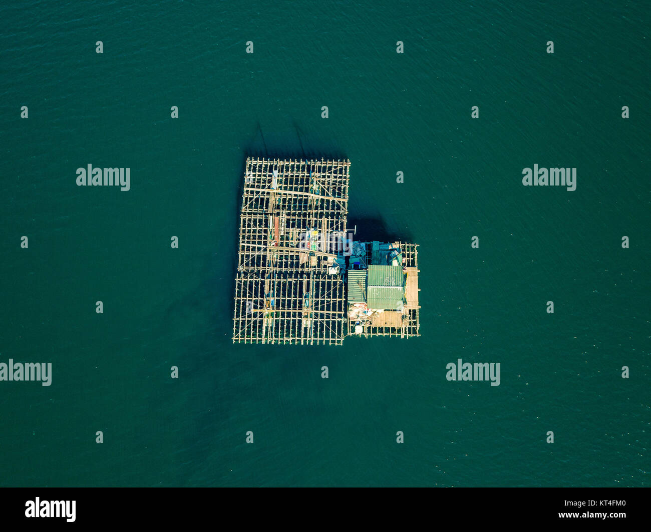 Aerial View of Farm on Cultivation of Seashells Stock Photo - Alamy