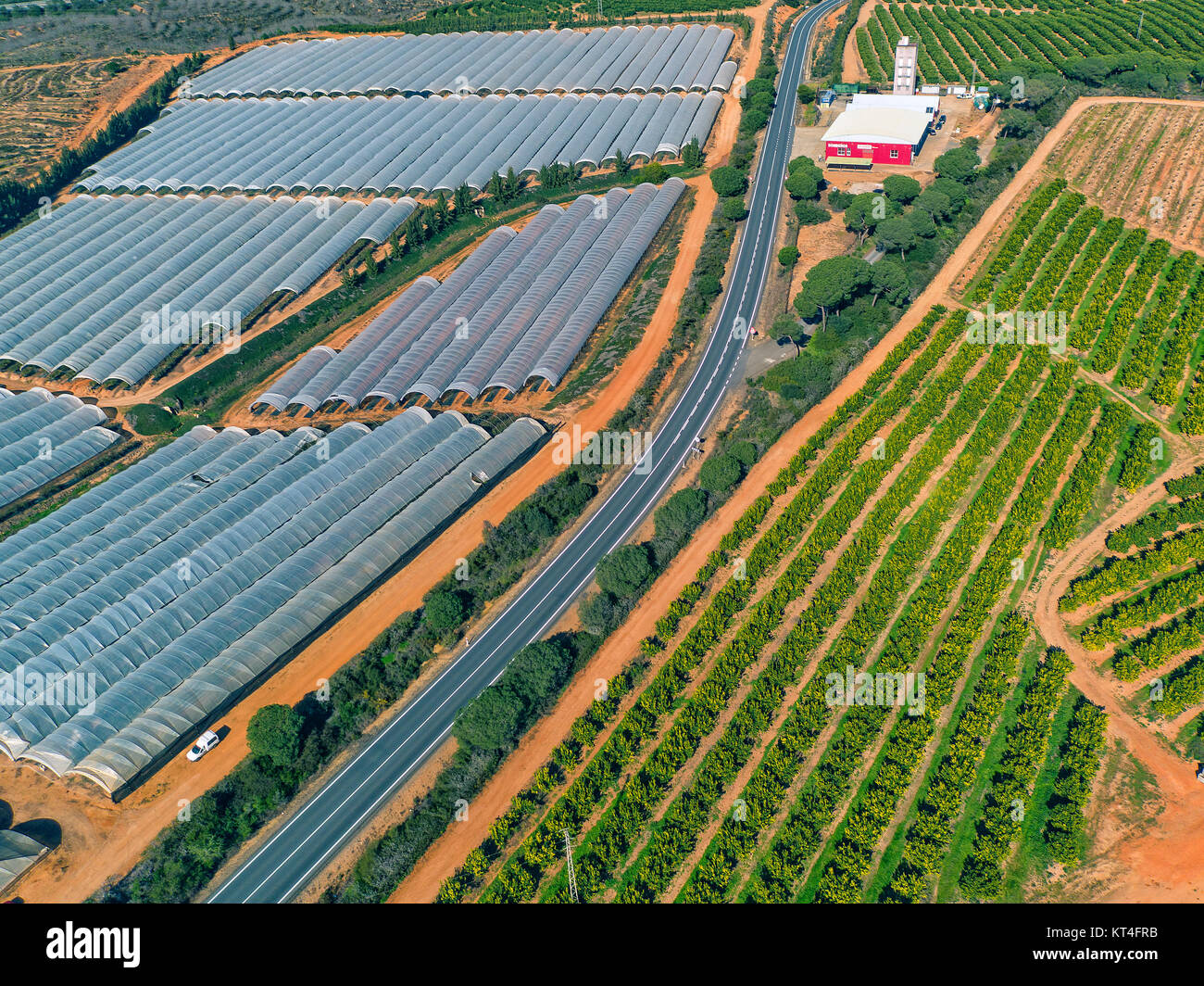 Aerial View Fruit and Orange Trees Plantation Stock Photo - Alamy