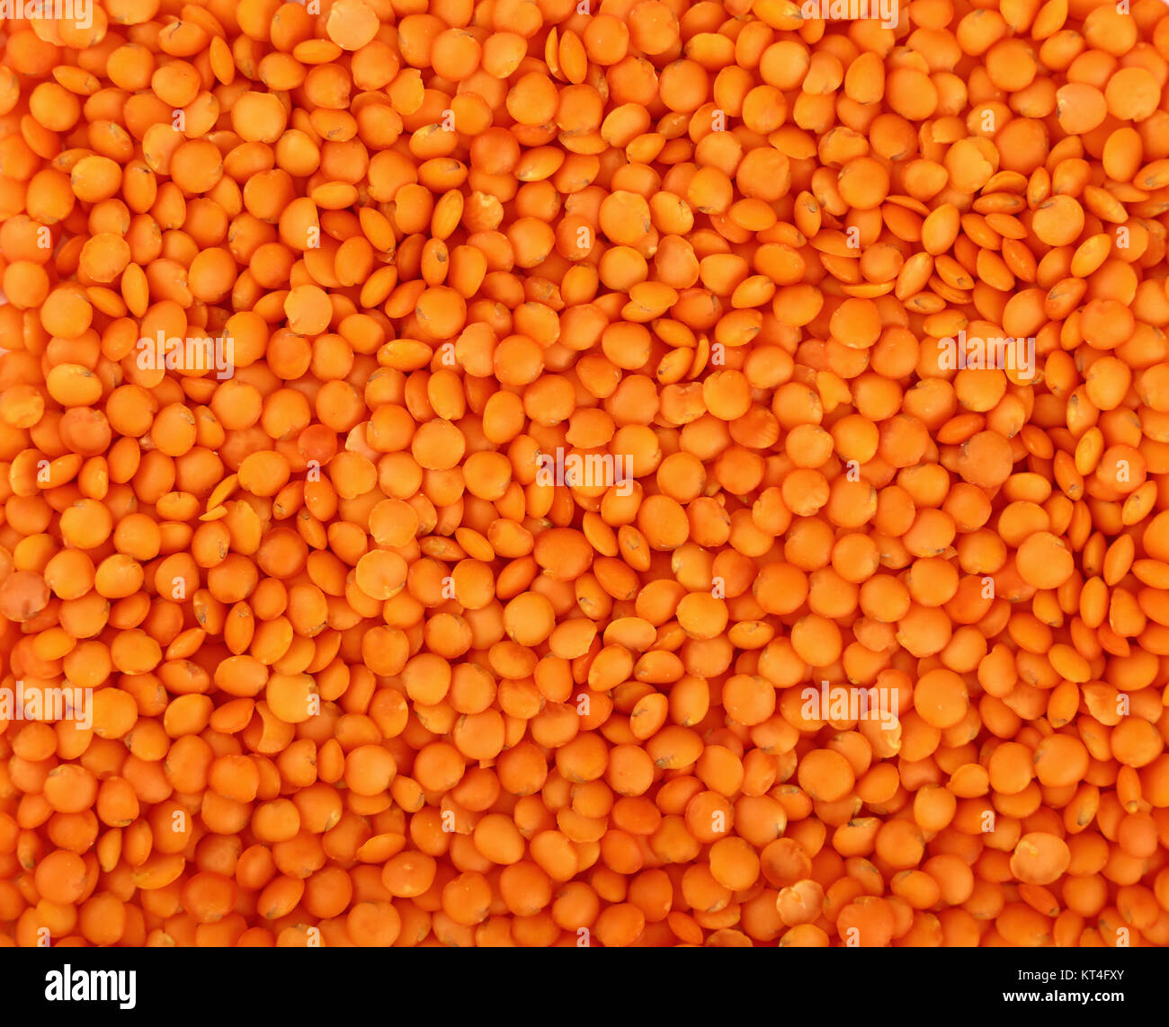 Orange lentil lens close up background Stock Photo - Alamy