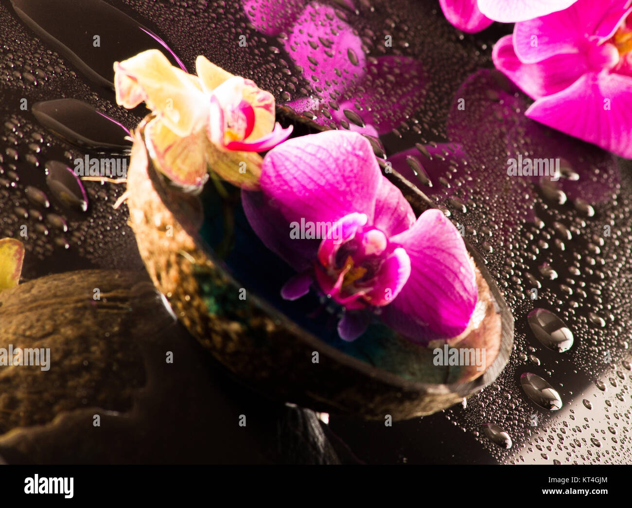 orchids with coconut Stock Photo - Alamy
