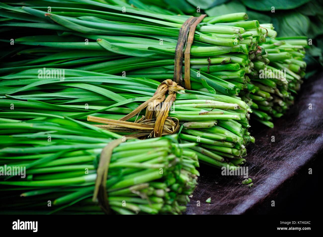 Bundles of the Chinese Vegetable Jiu Cai or commonly known as Garlic ...