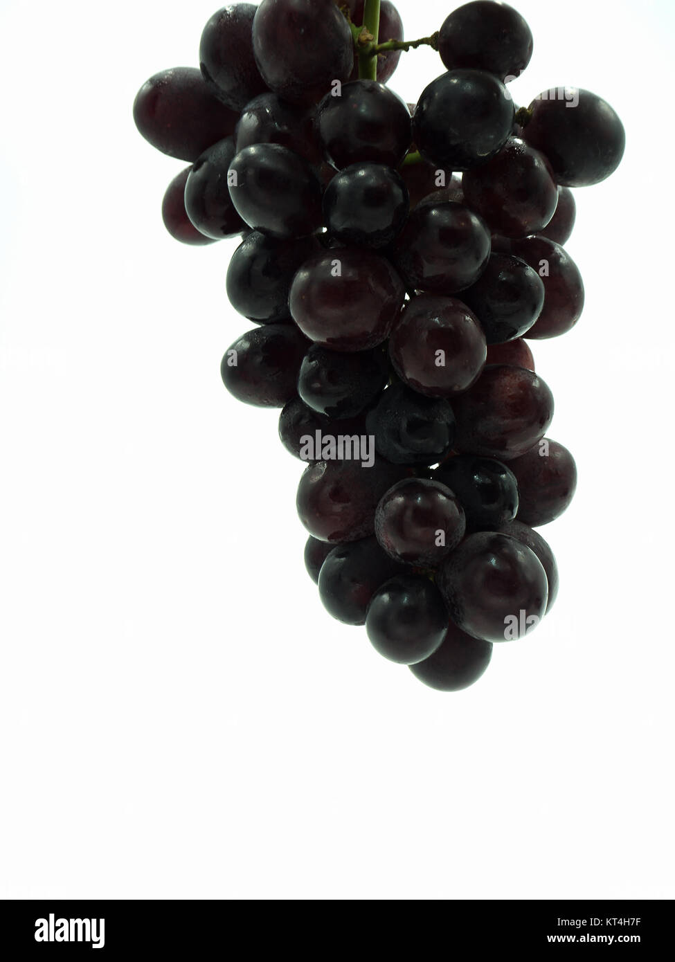 Woman's hand holding red grape on isolate white background Stock Photo ...