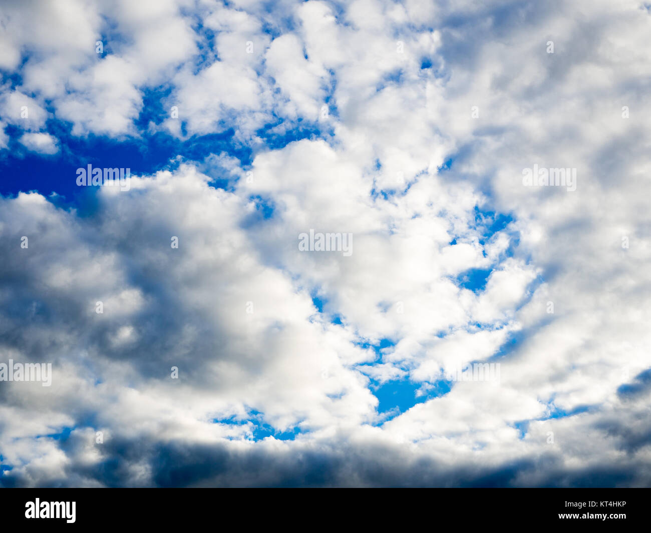 Beautiful tree and sky background Stock Photo - Alamy