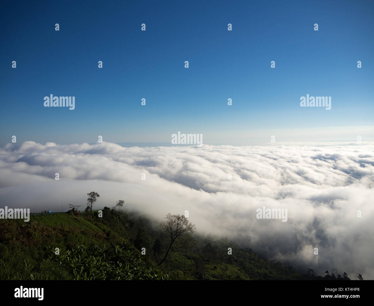 Beautiful sea of fog, landscape, clearly blue sky background Stock ...