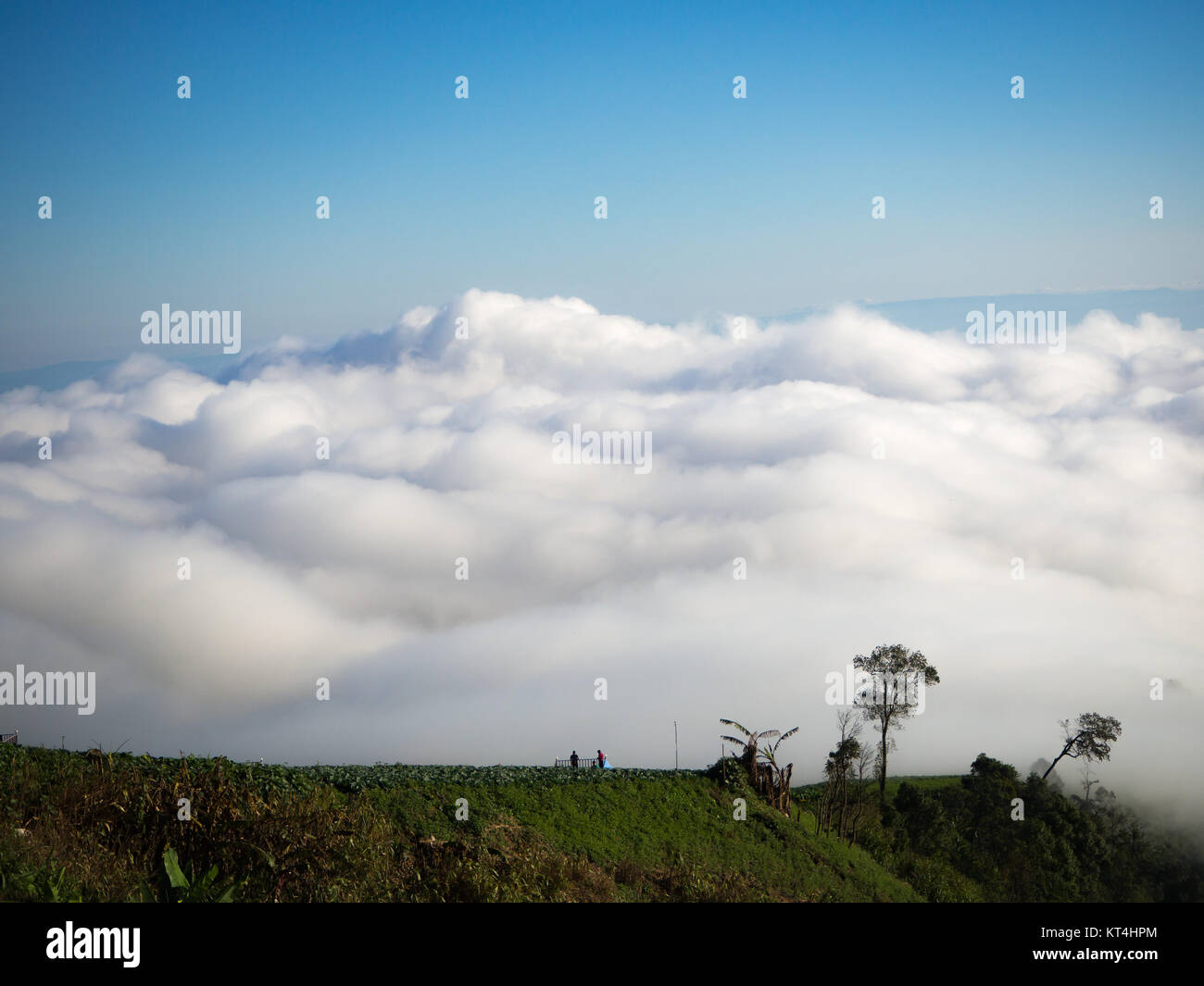 Beautiful sea of fog, landscape, clearly blue sky background Stock ...