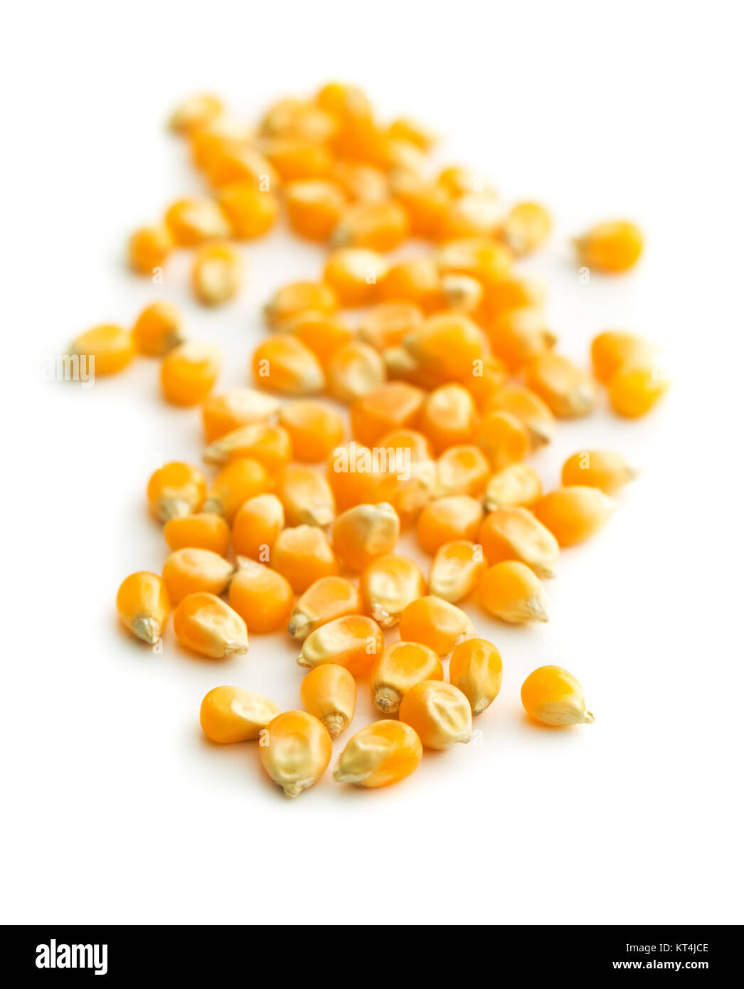 The corn seeds Stock Photo - Alamy