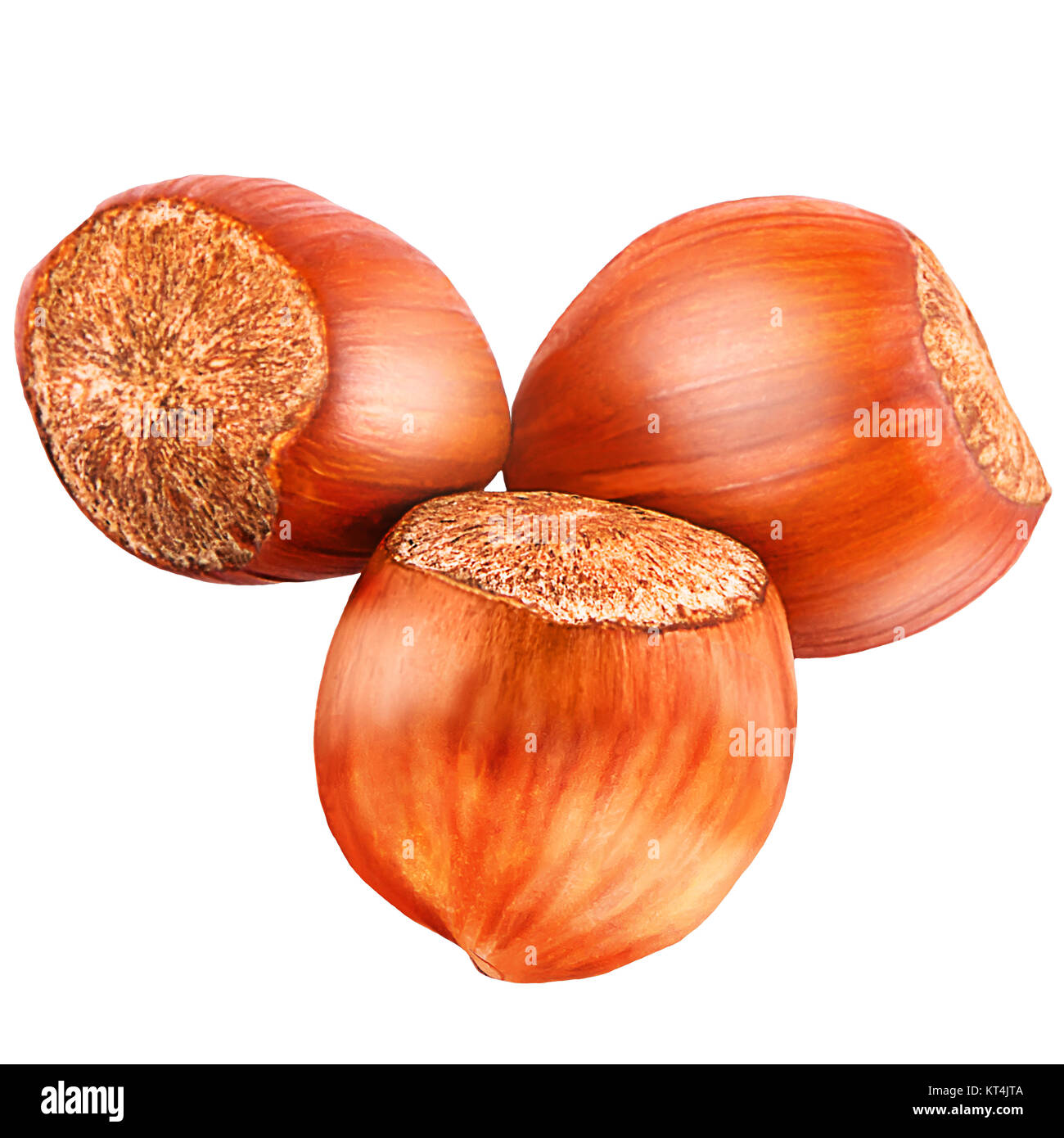 three hazelnut isolated on white Stock Photo - Alamy