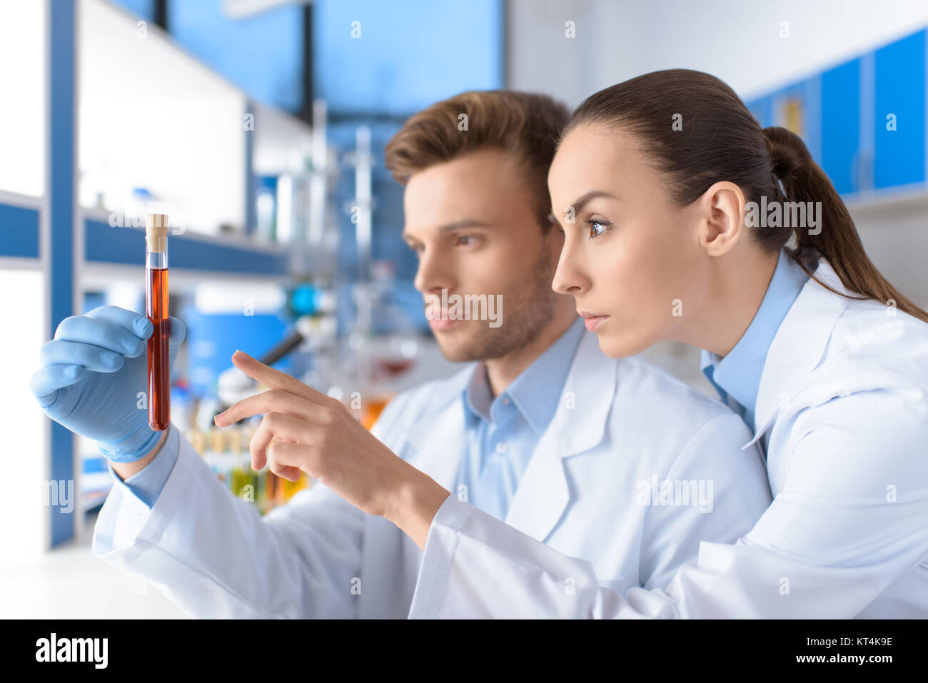 side view of concentrated scientists examining laboratory tube Stock ...