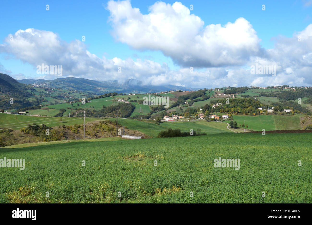 rural landscape scene with a meadow,hills on the horizon and curved ...