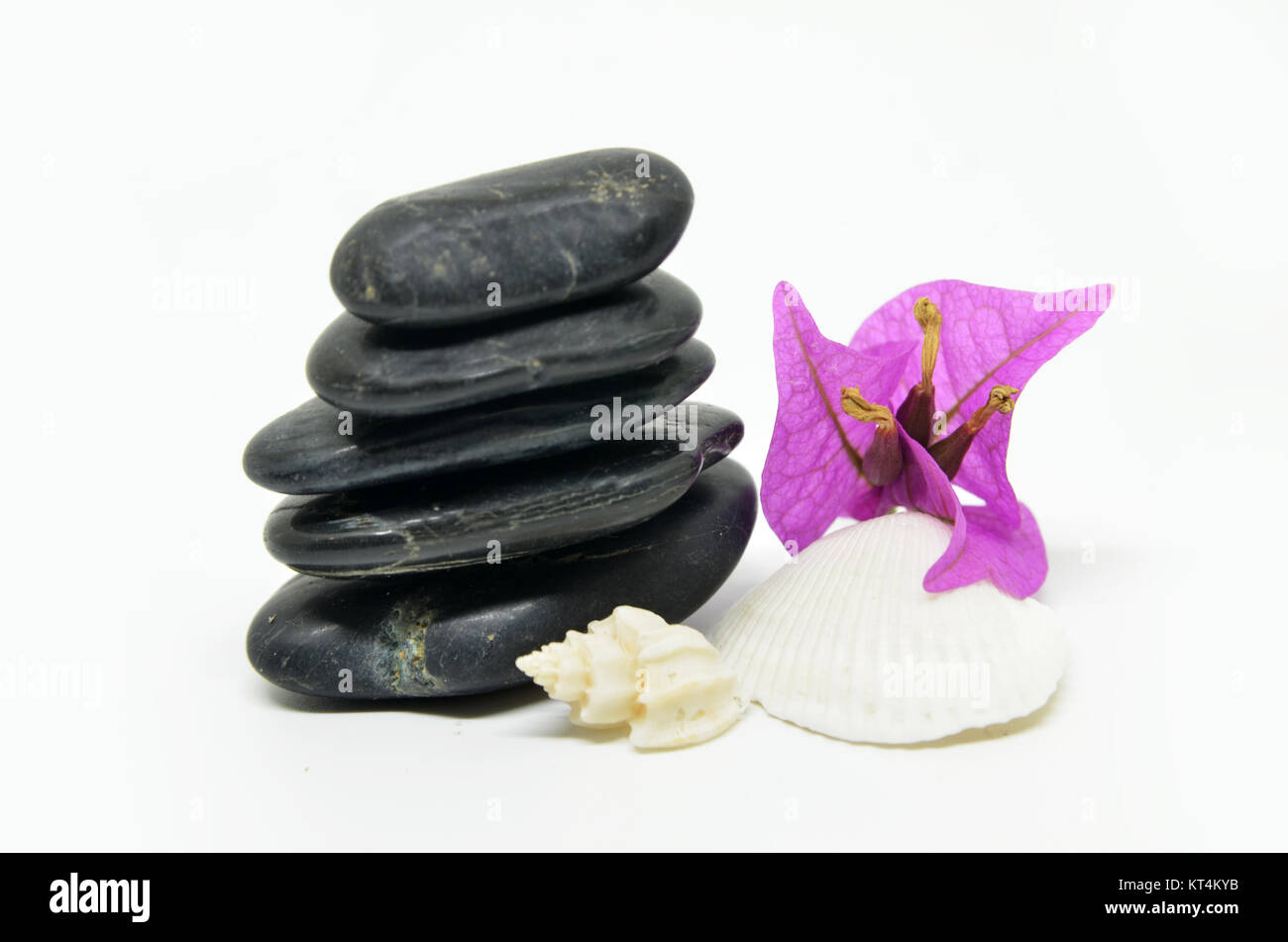 Black pebble and shells Stock Photo - Alamy