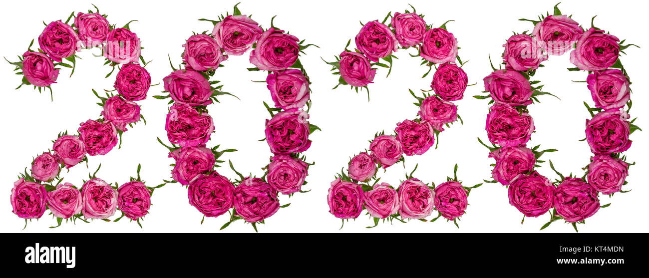 Numeral 2020 from red flowers of rose, isolated on white background ...