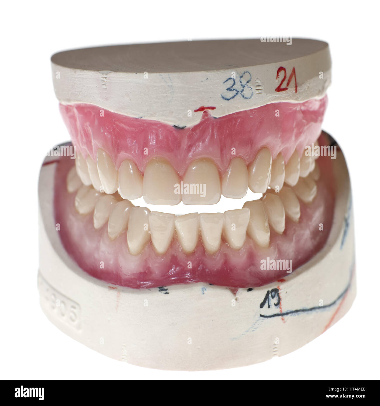 Grandmother tooth Cut Out Stock Images & Pictures - Alamy