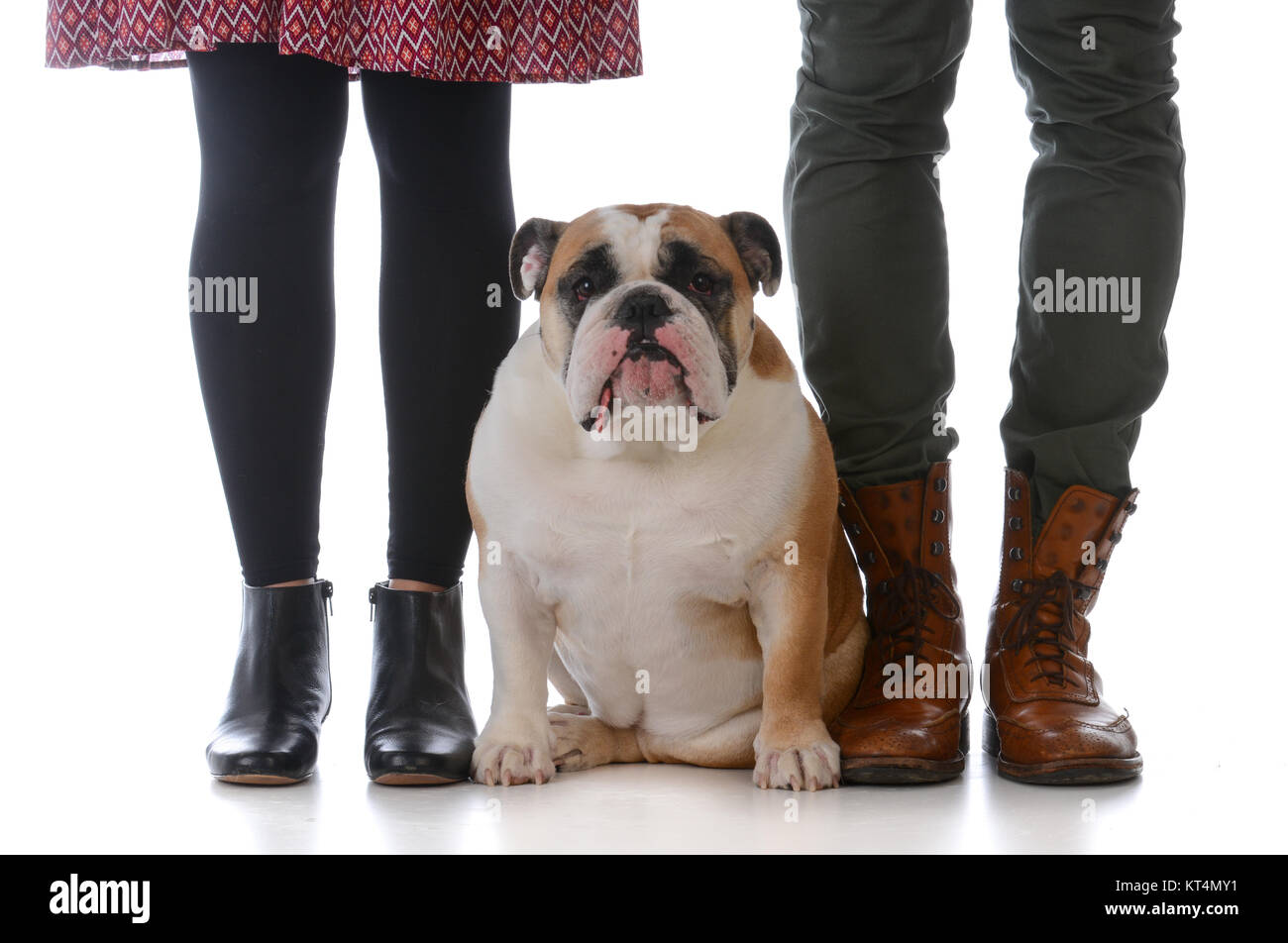 husband and wife with their bulldog on white background Stock Photo - Alamy